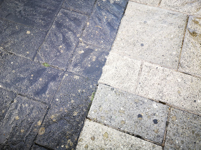 Why Walkway Cleaning is Important For Any Homeowner | Safely Softwash