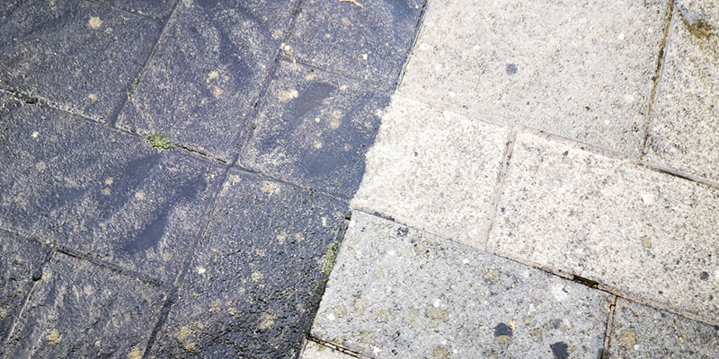 Why Walkway Cleaning is Important For Any Homeowner | Safely Softwash